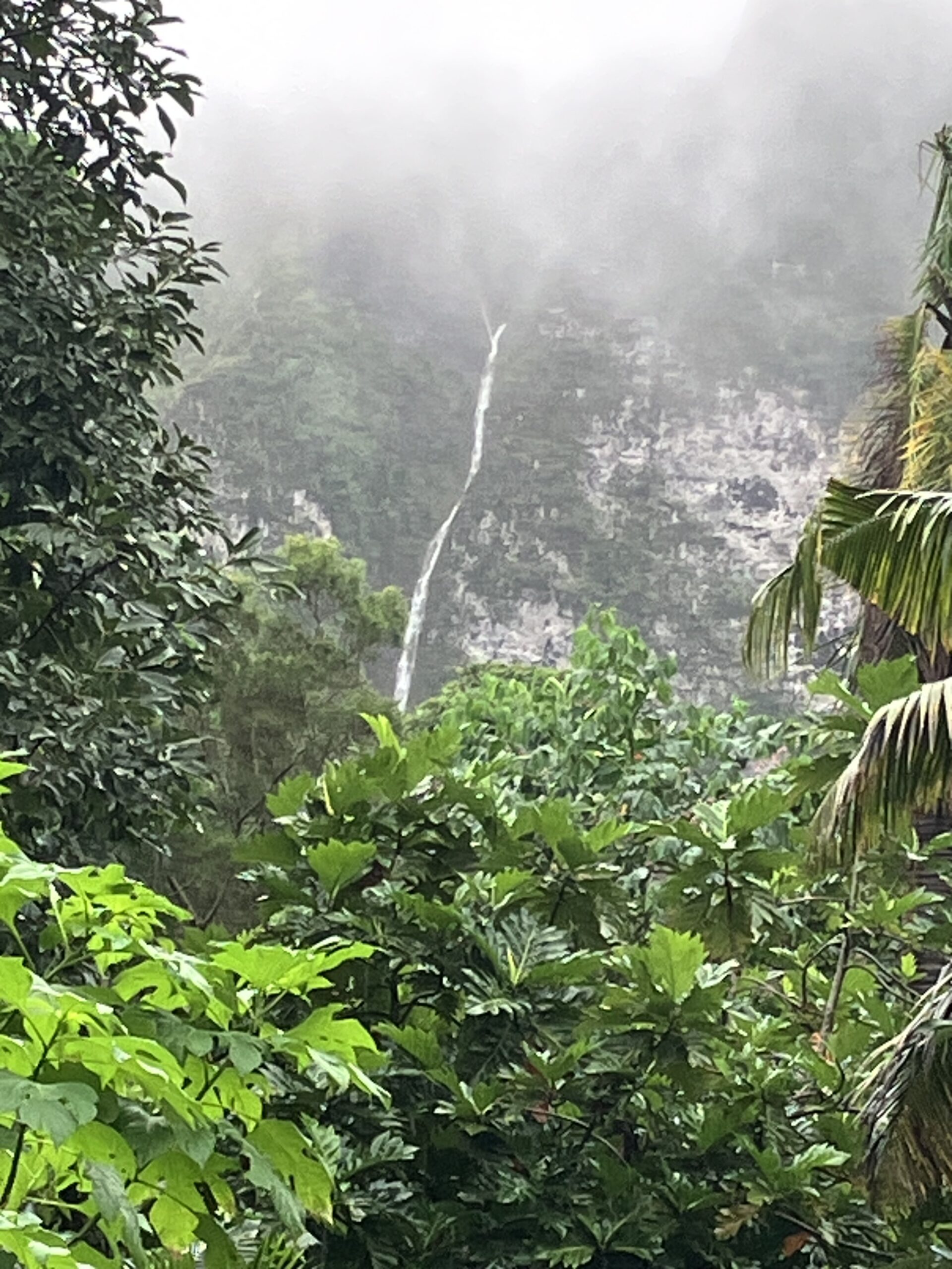 When the Big Storm has Passed, We Felt Grateful for Nature Letting Us ...